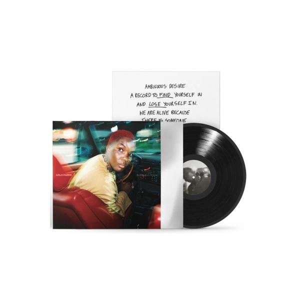 発売日:2026年04月03日 / ジャンル:ロック / フォーマット:LP / 組み枚数:1 / レーベル:Transgressive / 発売国:Europe / 商品番号:TRANS-930X / アーティストキーワード:Arlo P...