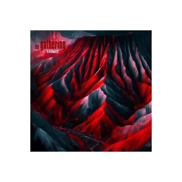 発売日:2026年03月06日 / ジャンル:ロック / フォーマット:LP / 組み枚数:1 / レーベル:Circle Music / 発売国:Europe / 商品番号:113171025 / アーティストキーワード:Gatherin...