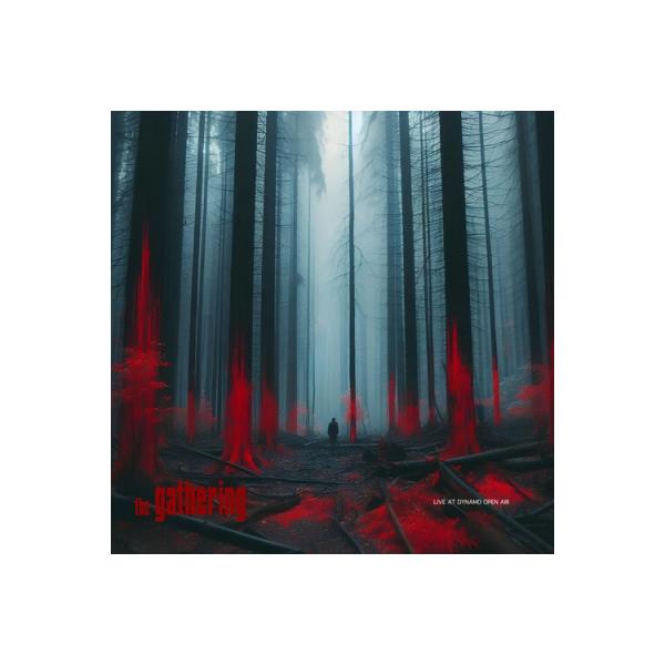 発売日:2026年03月06日 / ジャンル:ロック / フォーマット:LP / 組み枚数:1 / レーベル:Circle Music / 発売国:Europe / 商品番号:114171025 / アーティストキーワード:Gatherin...