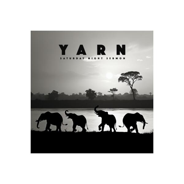 発売日:2026年04月24日 / ジャンル:ロック / フォーマット:LP / 組み枚数:1 / レーベル:333 Entertainment / 発売国:USA / 商品番号:202 / アーティストキーワード:Yarn (Country)