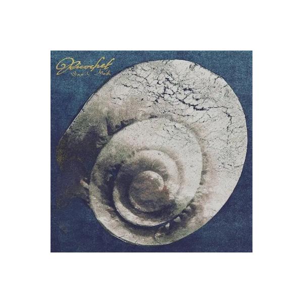 発売日:2026年03月27日 / ジャンル:ロック / フォーマット:CD / 組み枚数:1 / レーベル:Matador / 発売国:日本 / 商品番号:OLE-2209CDJP / その他:1ボーナストラック / アーティストキーワー...