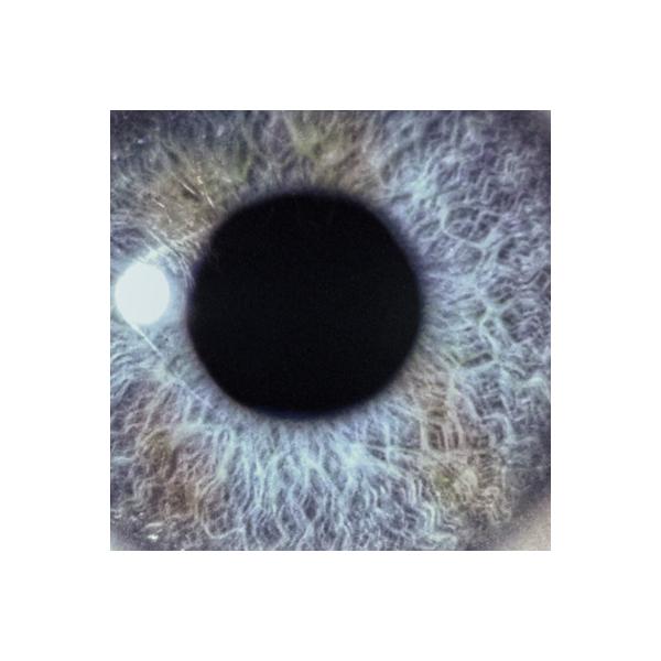 発売日:2026年03月06日 / ジャンル:ロック / フォーマット:CD / 組み枚数:2 / レーベル:Century Media / 発売国:Europe / 商品番号:19802986562 / その他:リイシュー, デラックスエ...