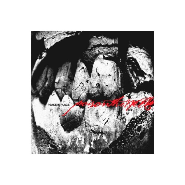 発売日:2026年03月20日 / ジャンル:ロック / フォーマット:LP / 組み枚数:1 / レーベル:Sharptone / 発売国:Europe / 商品番号:975935 / アーティストキーワード:Poison The Wel...