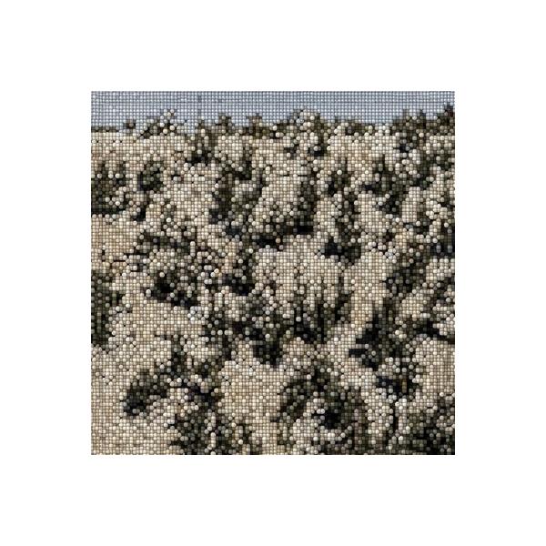 発売日:2026年03月06日 / ジャンル:ロック / フォーマット:CD / 組み枚数:1 / レーベル:International Anthem / 発売国:Europe / 商品番号:IARC-0107CD / アーティストキーワー...