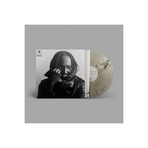 発売日:2026年04月03日 / ジャンル:ダンス＆ソウル / フォーマット:LP / 組み枚数:1 / レーベル:Brainfeeder / 発売国:Europe / 商品番号:BF-165N / その他:限定盤 / アーティストキーワ...