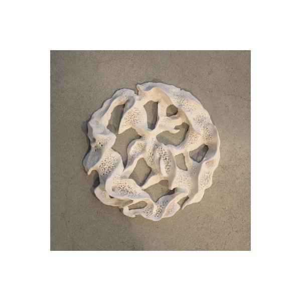 発売日:2026年03月13日 / ジャンル:ロック / フォーマット:LP / 組み枚数:1 / レーベル:Pelagic Records / 発売国:Europe / 商品番号:PEL-308V / その他:限定盤 / アーティストキー...