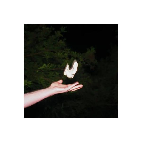 発売日:2026年03月31日 / ジャンル:ロック / フォーマット:LP / 組み枚数:1 / レーベル:Choke Artist / 発売国:USA / 商品番号:CHK-70 / アーティストキーワード:Band Argument