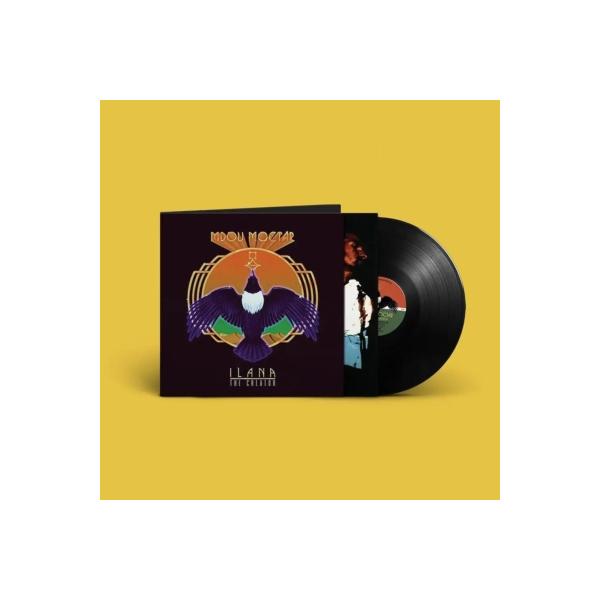 発売日:2026年03月13日 / ジャンル:ワールド / フォーマット:LP / 組み枚数:1 / レーベル:Matador / 発売国:Europe / 商品番号:OLE-2043LP / その他:リイシュー / アーティストキーワード...