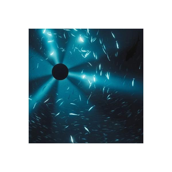 発売日:2026年03月13日 / ジャンル:ダンス＆ソウル / フォーマット:CD / 組み枚数:1 / レーベル:Awe / 発売国:Japan (国内盤仕様) / 商品番号:AWE-003CDJ / アーティストキーワード:Laure...