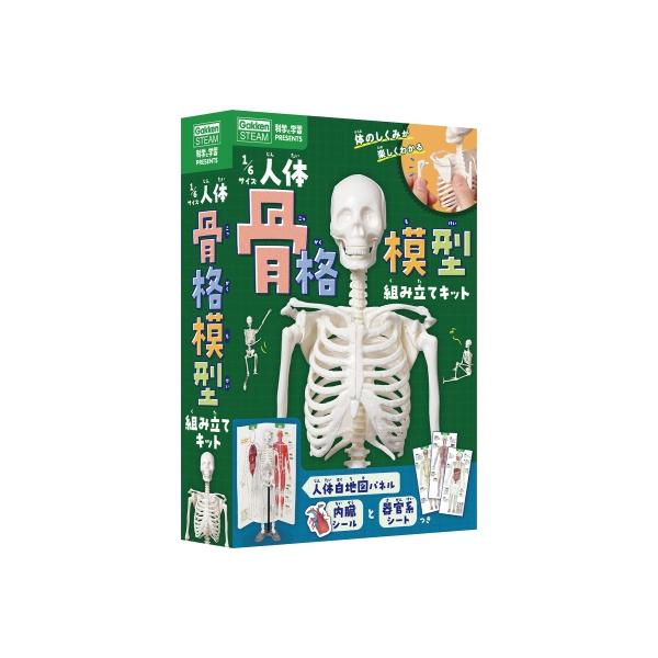 発売日:2026年04月 / ジャンル:物理・科学・医学 / フォーマット:ムック / 出版社:Ｇａｋｋｅｎ / 発売国:日本 / ISBN:9784057509808 / アーティストキーワード:Gakken 内容詳細:成人の約1／6サイ...