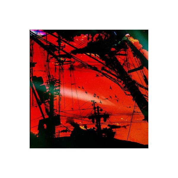 発売日:2026年03月11日 / ジャンル:ジャパニーズポップス / フォーマット:CD / 組み枚数:1 / レーベル:Tough &amp; Guy Recods / 発売国:日本 / 商品番号:TGUY-022 / アーティストキー...