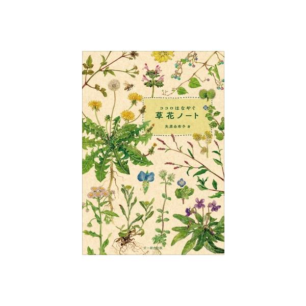 発売日:2026年04月 / ジャンル:物理・科学・医学 / フォーマット:本 / 出版社:文一総合出版 / 発売国:日本 / ISBN:9784829972656 / アーティストキーワード:矢原由布子 内容詳細:「家の周りでかわいい花を...