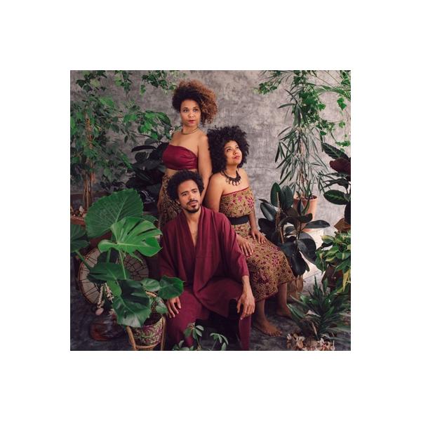 発売日:2026年02月28日 / ジャンル:ジャズ / フォーマット:CD / 組み枚数:1 / レーベル:Aztec Musique / 発売国:Europe / 商品番号:CM-5153 / アーティストキーワード:Abraham R...