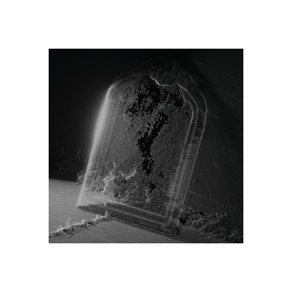 発売日:2026年05月22日 / ジャンル:ダンス＆ソウル / フォーマット:LP / 組み枚数:1 / レーベル:Ghostly Internationa / 発売国:Europe / 商品番号:RVNGNL-128LPC1 / アーテ...