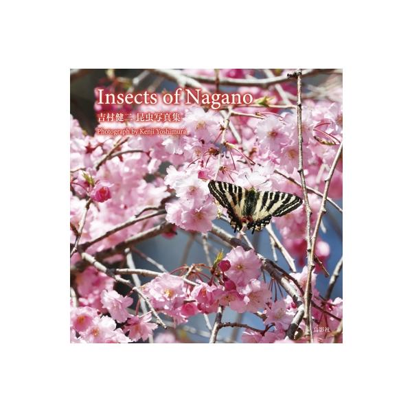 発売日:2026年04月 / ジャンル:アート・エンタメ / フォーマット:本 / 出版社:鳥影社 / 発売国:日本 / ISBN:9784867822142 / アーティストキーワード:吉村健二 内容詳細:美しい草花が芽吹く信州の自然の中...