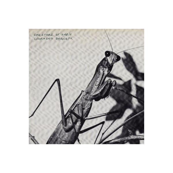 発売日:2026年03月27日 / ジャンル:ロック / フォーマット:LP / 組み枚数:1 / レーベル:Mom+pop / 発売国:Europe / 商品番号:LPMP-922 / その他:限定盤 / アーティストキーワード:Cour...