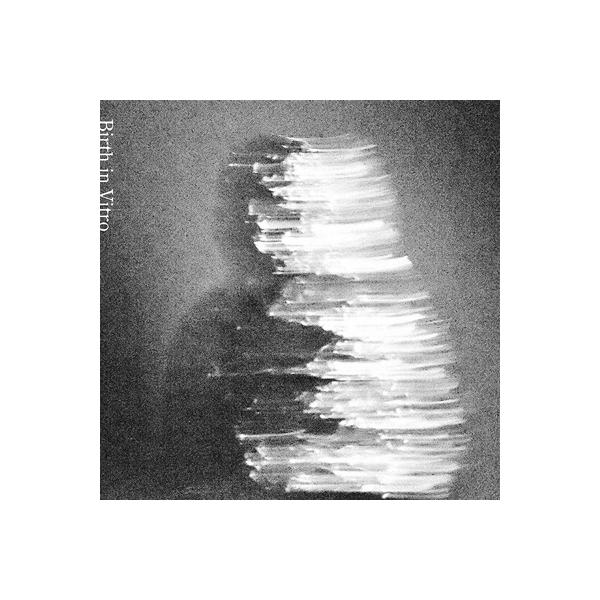 発売日:2026年04月29日 / ジャンル:ジャパニーズポップス / フォーマット:CD / 組み枚数:1 / レーベル:Oaiko / 発売国:日本 / 商品番号:OAIKO-0017 / アーティストキーワード:Fulusu  / タ...