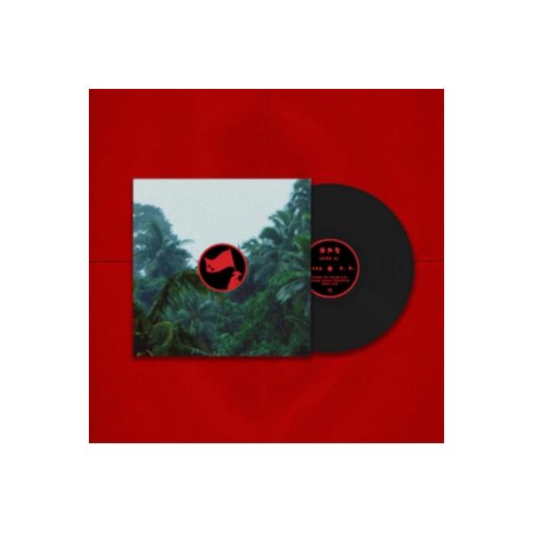 発売日:2026年03月27日 / ジャンル:ロック / フォーマット:12in / 組み枚数:1 / レーベル:Punishment Park / 発売国:UK / 商品番号:PUNISH-001 / アーティストキーワード:Group ...