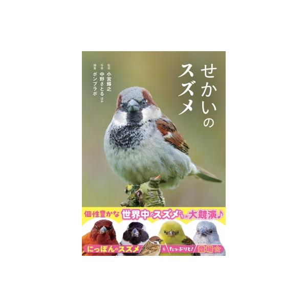 発売日:2026年05月 / ジャンル:物理・科学・医学 / フォーマット:本 / 出版社:カンゼン / 発売国:日本 / ISBN:9784862558077 / アーティストキーワード:小宮輝之 内容詳細:個性豊かな世界中のスズメたちが...