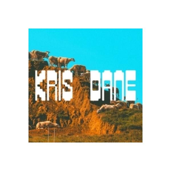 発売日:2026年03月20日 / ジャンル:ロック / フォーマット:LP / 組み枚数:1 / レーベル:Pias Belgium / 発売国:Europe / 商品番号:PIASB-1024LP / その他:限定盤 / アーティストキ...