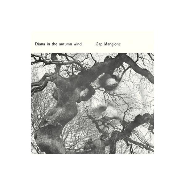 発売日:2026年05月31日 / ジャンル:ダンス＆ソウル / フォーマット:LP / 組み枚数:1 / レーベル:Be With Records / 発売国:International / 商品番号:BEWITH-200LP / アーテ...