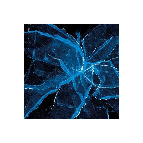 発売日:2026年05月01日 / ジャンル:ジャズ / フォーマット:LP / 組み枚数:1 / レーベル:Red Hook / 発売国:Europe / 商品番号:RH-1009LPS / アーティストキーワード:Blankfor.ms...