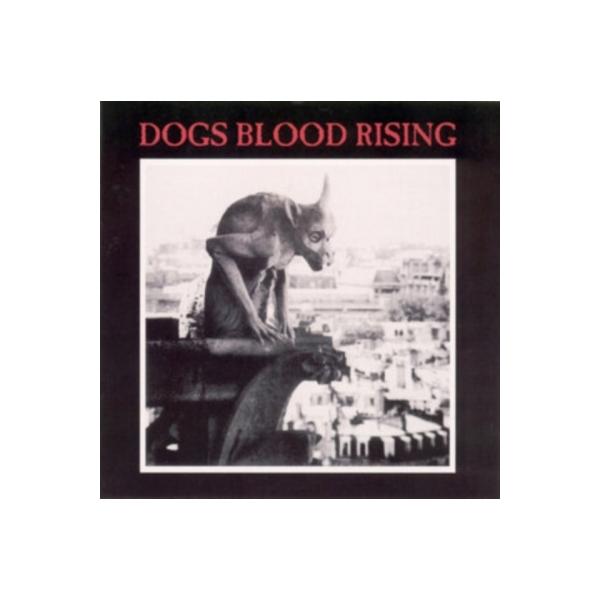 発売日:2026年05月22日 / ジャンル:ロック / フォーマット:LP / 組み枚数:1 / レーベル:Cashen Gap / 発売国:UK / 商品番号:DOARXVILP / アーティストキーワード:Current 93 カレン...