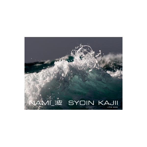 発売日:2026年04月 / ジャンル:アート・エンタメ / フォーマット:本 / 出版社:リトル・モア / 発売国:日本 / ISBN:9784898156223 / アーティストキーワード:梶井照陰 内容詳細:伝説の写真集から20年。新...