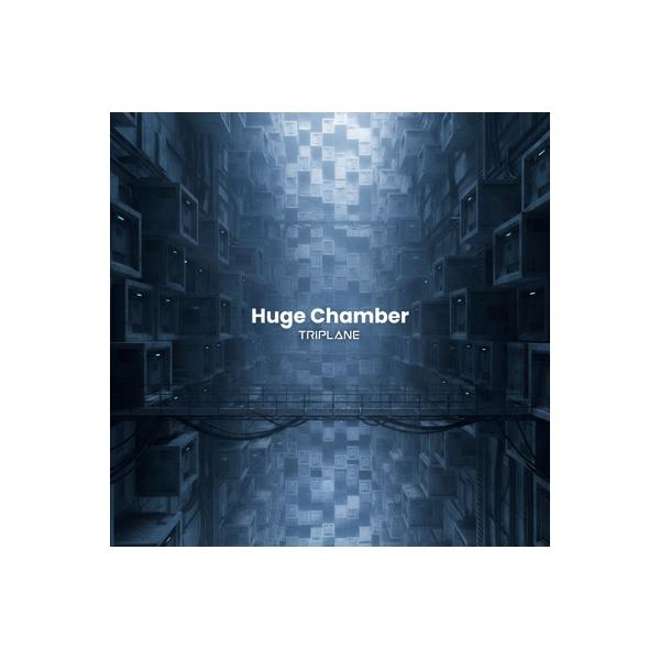 発売日:2026年04月01日 / ジャンル:ジャパニーズポップス / フォーマット:CD / 組み枚数:1 / レーベル:アイビーレコード / 発売国:日本 / 商品番号:IVYR-10111 / アーティストキーワード:Triplane...