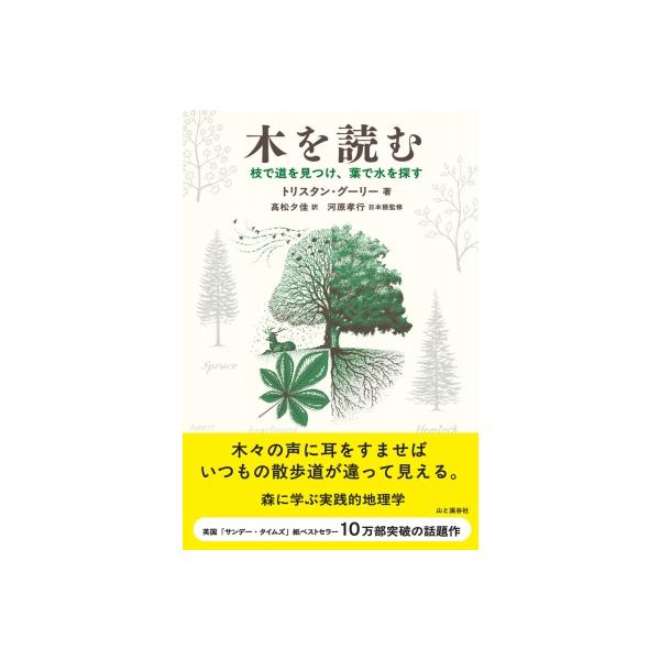 発売日:2026年06月 / ジャンル:物理・科学・医学 / フォーマット:本 / 出版社:山と渓谷社 / 発売国:日本 / ISBN:9784635588072 / アーティストキーワード:トリスタン グーリー 内容詳細:木々の声に耳をす...