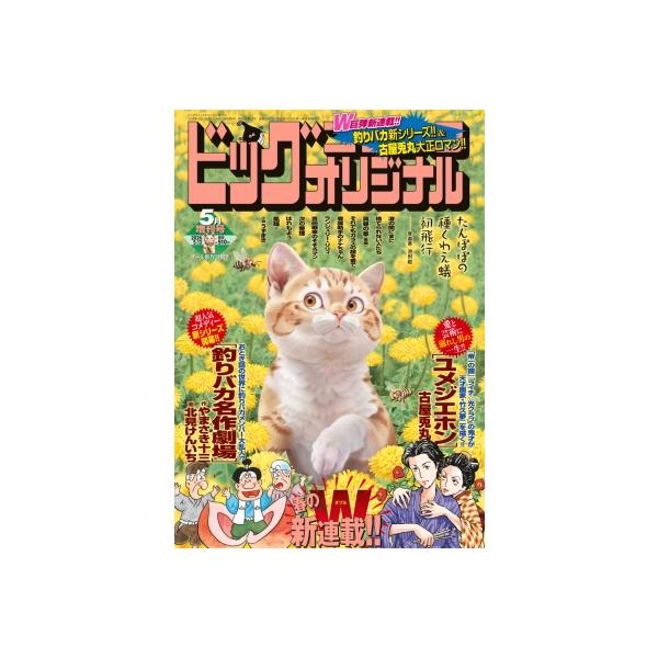 発売日:2026年04月 / ジャンル:雑誌（情報） / フォーマット:雑誌 / 出版社:小学館 / 発売国:日本 / ISBN:274760526 / アーティストキーワード:ビッグコミックオリジナル編集部 ビッグコミックスオリジナル 小...