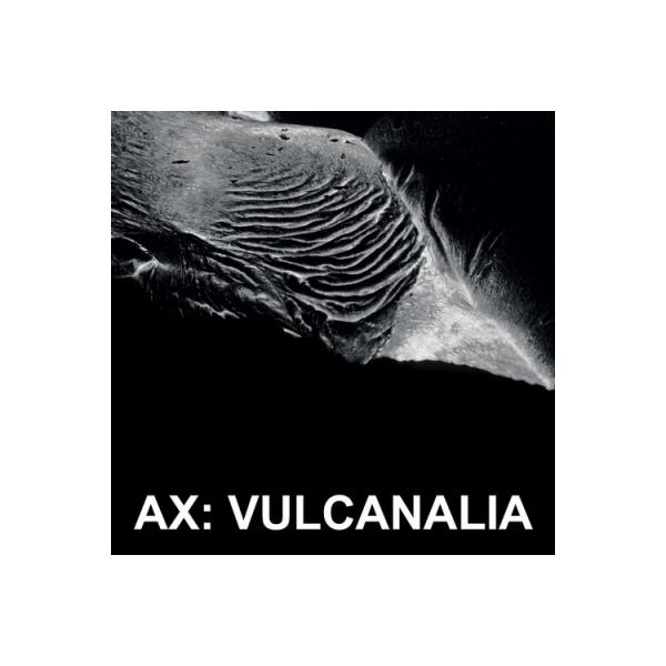 発売日:2026年04月10日 / ジャンル:ロック / フォーマット:LP / 組み枚数:1 / レーベル:Nashazphone / 発売国:USA / 商品番号:58 / アーティストキーワード:Ax