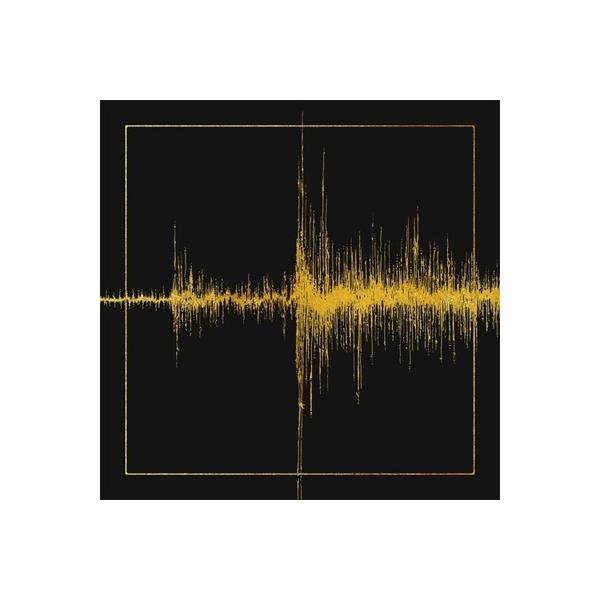 発売日:2026年06月05日 / ジャンル:ロック / フォーマット:CD / 組み枚数:1 / レーベル:Epitaph / 発売国:USA / 商品番号:88156 / アーティストキーワード:Converge コンヴァージ　コンバー...