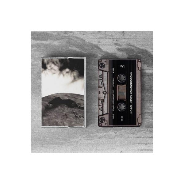 発売日:2026年05月15日 / ジャンル:ロック / フォーマット:Cassette / 組み枚数:1 / レーベル:Flenser / 発売国:Europe / 商品番号:FRMC-195 / アーティストキーワード:Rhododen...