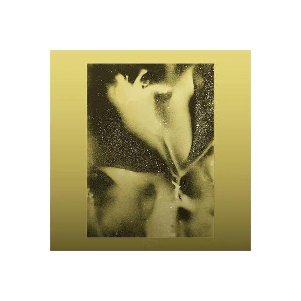発売日:2026年06月12日 / ジャンル:ダンス＆ソウル / フォーマット:CD / 組み枚数:1 / レーベル:Brainfeeder / 発売国:日本 / 商品番号:BRC-808 / その他:限定盤, リマスター, リイシュー /...