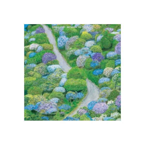 発売日:2026年06月12日 / ジャンル:ロック / フォーマット:LP / 組み枚数:1 / レーベル:Run For Cover / 発売国:UK / 商品番号:RFC-211LP-C11 / アーティストキーワード:Fiddlehead