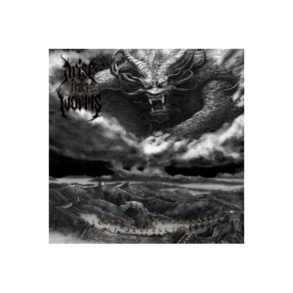 発売日:2026年07月10日 / ジャンル:ロック / フォーマット:LP / 組み枚数:1 / レーベル:Church Road Records / 発売国:UK / 商品番号:CRR-262V / アーティストキーワード:Arise ...