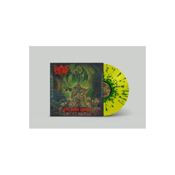 発売日:2026年06月12日 / ジャンル:ロック / フォーマット:LP / 組み枚数:1 / レーベル:Black Lion / 発売国:USA / 商品番号:196 / アーティストキーワード:Estertor