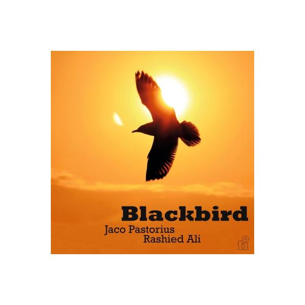 発売日:2026年07月24日 / ジャンル:ジャズ / フォーマット:LP / 組み枚数:1 / レーベル:Music On Vinyl / 発売国:Holland / 商品番号:MOVLP-3271 / アーティストキーワード:Jaco...