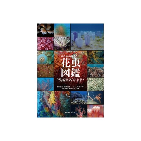 発売日:2026年07月 / ジャンル:物理・科学・医学 / フォーマット:本 / 出版社:海文堂出版 / 発売国:日本 / ISBN:9784303800765 / アーティストキーワード:櫛田優花 内容詳細:花虫類のなかでも、従来の図鑑...