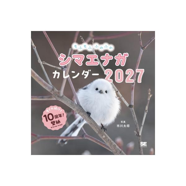 発売日:2026年09月 / ジャンル:実用・ホビー / フォーマット:本 / 出版社:翔泳社 / 発売国:日本 / ISBN:9784798197579 / アーティストキーワード:市川太将 内容詳細:ご愛顧いただき10年目・シリーズ累計...