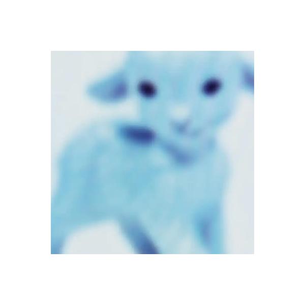 発売日:2026年10月16日 / ジャンル:ダンス＆ソウル / フォーマット:CD / 組み枚数:1 / レーベル:Luckyme / 発売国:Europe / 商品番号:LM-124CD / アーティストキーワード:Jacques Gr...