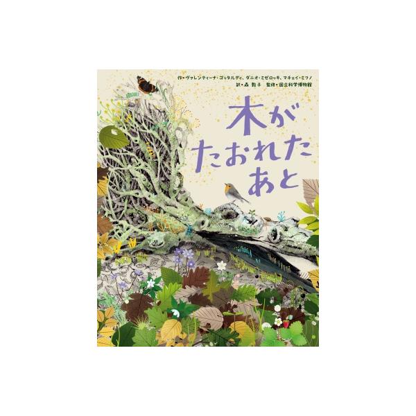 発売日:2026年09月 / ジャンル:物理・科学・医学 / フォーマット:絵本 / 出版社:岩波書店 / 発売国:日本 / ISBN:9784001127188 / アーティストキーワード:ヴァレンティーナ・ゴッタルディ 内容詳細:夏の嵐...