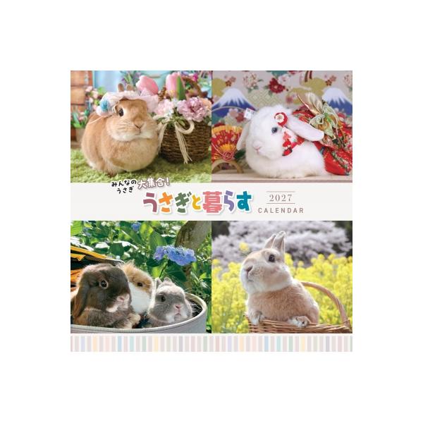 発売日:2026年10月 / ジャンル:アート・エンタメ / フォーマット:本 / 出版社:うさぎと暮らす / 発売国:日本 / ISBN:9784802194167 / アーティストキーワード:うさぎと暮らす編集部 うさぎと暮らす　うさぎ...