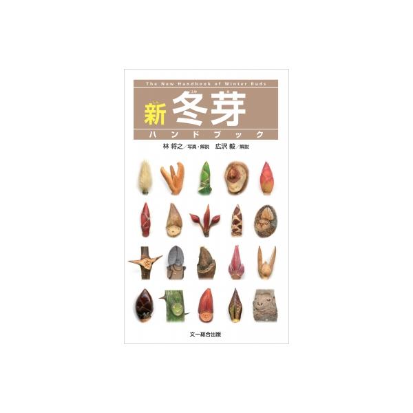 発売日:2026年10月 / ジャンル:物理・科学・医学 / フォーマット:図鑑 / 出版社:文一総合出版 / 発売国:日本 / ISBN:9784829981900 / アーティストキーワード:林将之 内容詳細:樹木は葉が落ちたあとがおも...