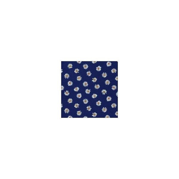 発売日:2013年12月04日 / ジャンル:ジャパニーズポップス / フォーマット:CD / 組み枚数:1 / レーベル:Daizawa Records / 発売国:日本 / 商品番号:UKDZ-0150 / アーティストキーワード:きの...