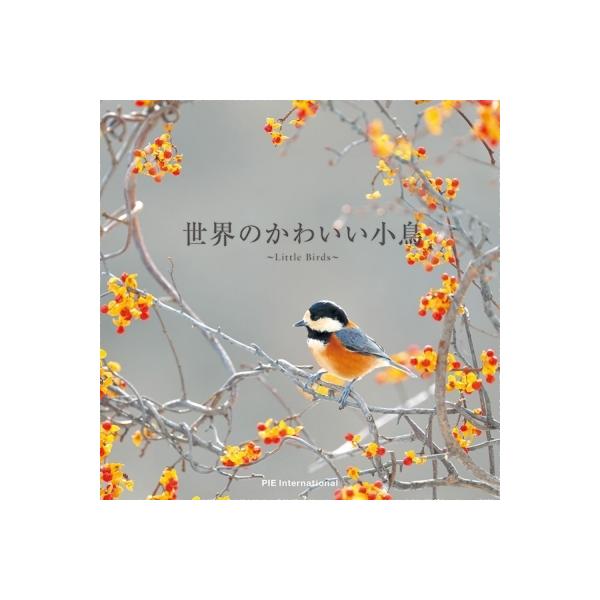 発売日:2014年10月 / ジャンル:アート・エンタメ / フォーマット:本 / 出版社:パイインターナショナル / 発売国:日本 / ISBN:9784756245557 / アーティストキーワード:アフロ 内容詳細:花の舞う日も、雪の...