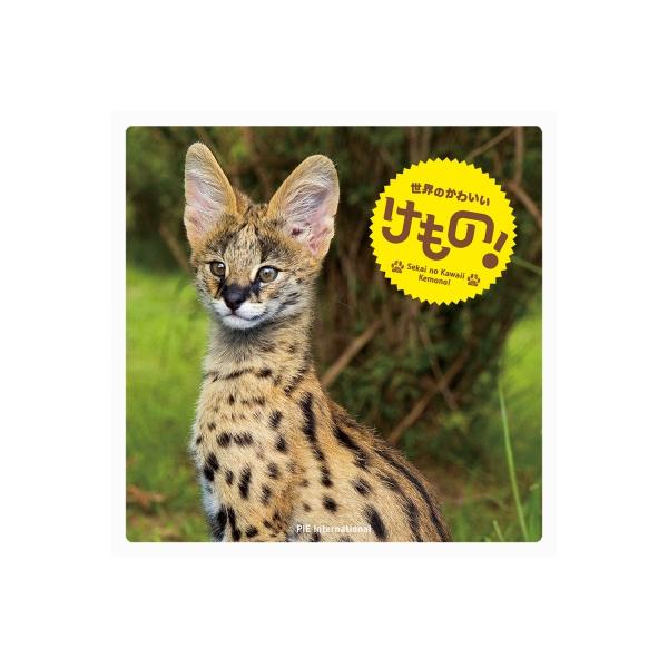 発売日:2017年08月 / ジャンル:アート・エンタメ / フォーマット:本 / 出版社:パイインターナショナル / 発売国:日本 / ISBN:9784756249722 / アーティストキーワード:大渕希郷 内容詳細:リアルなけもの写...