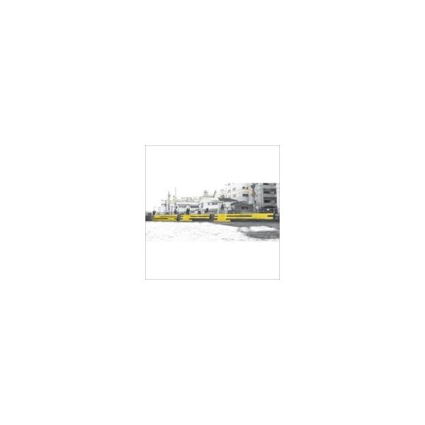 発売日:2018年04月25日 / ジャンル:ジャパニーズポップス / フォーマット:CD / 組み枚数:1 / レーベル:カッティング エッジ / 発売国:日本 / 商品番号:CTCR-14932 / アーティストキーワード:Strugg...