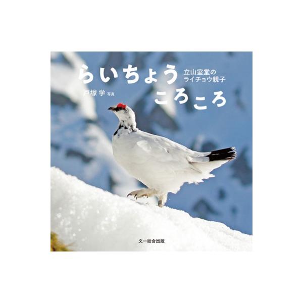発売日:2018年02月 / ジャンル:アート・エンタメ / フォーマット:本 / 出版社:文一総合出版 / 発売国:日本 / ISBN:9784829979129 / アーティストキーワード:戸塚学 内容詳細:ライチョウたちのかわいい写真...